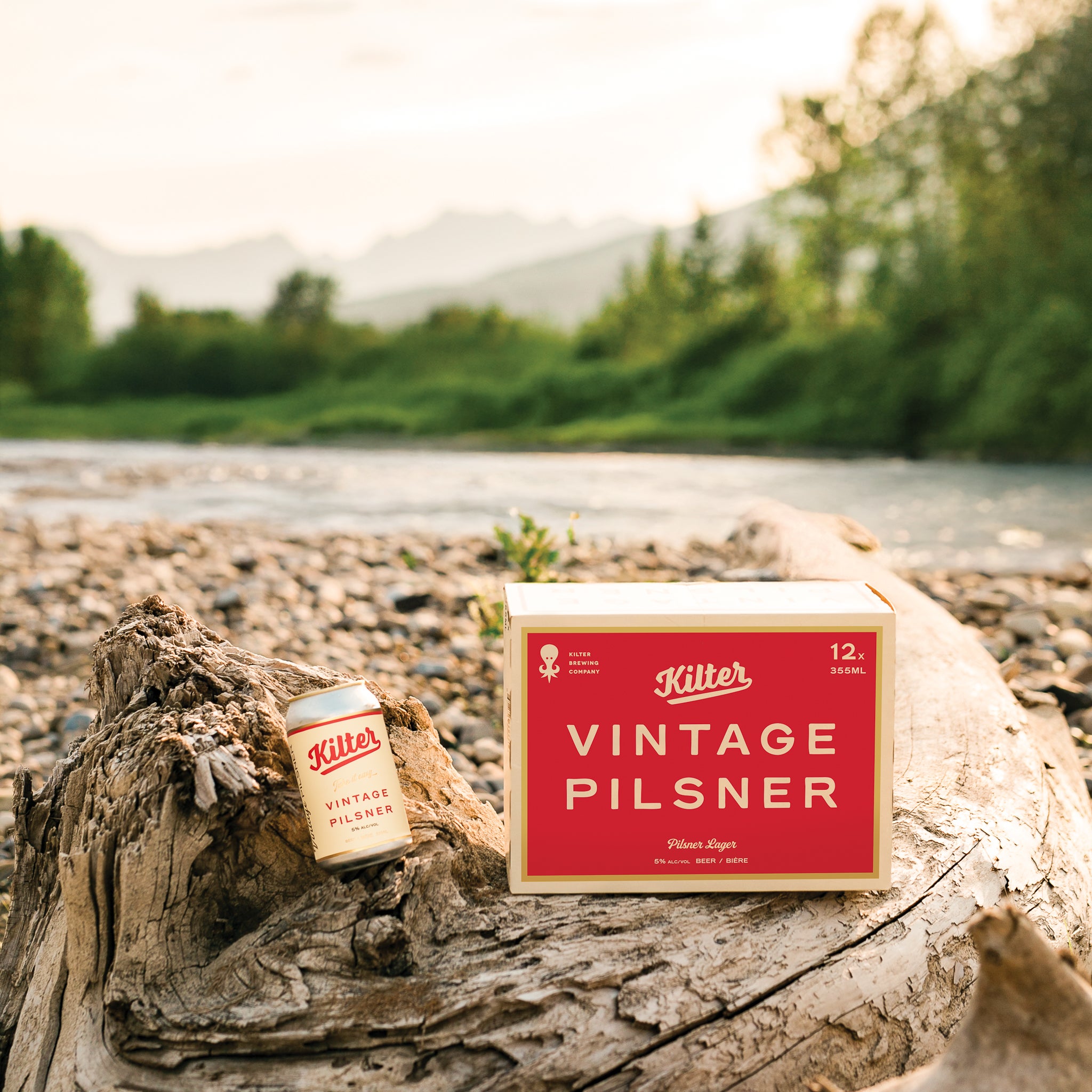 Vintage Pilsner 12-Pack | Kilter Brewing Co.